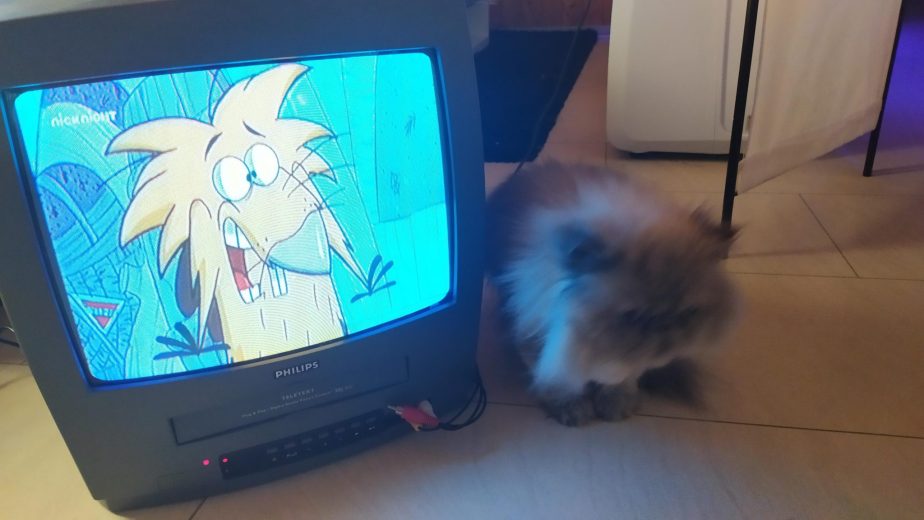 The Angry Beavers, my favourite 90s show!