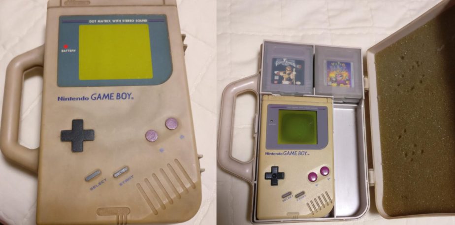 GameBoy in a GameBoy case