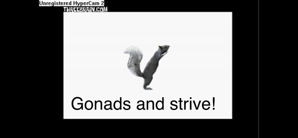 Eric Clapton - Tears in Heaven [edited with the animation "The Passenger"]