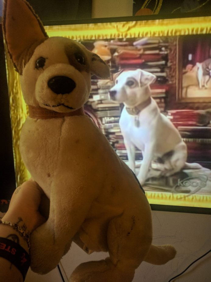 Wishbone! I've had this toy since I was a child, I've passed it on to ...